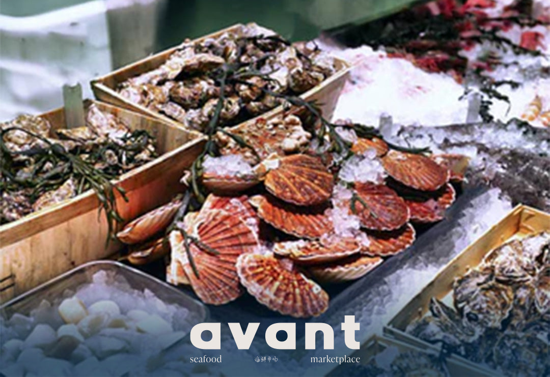 Frozen Mollusca | Scallops, Mussels, Oysters & Clams | Avant Seafood ...