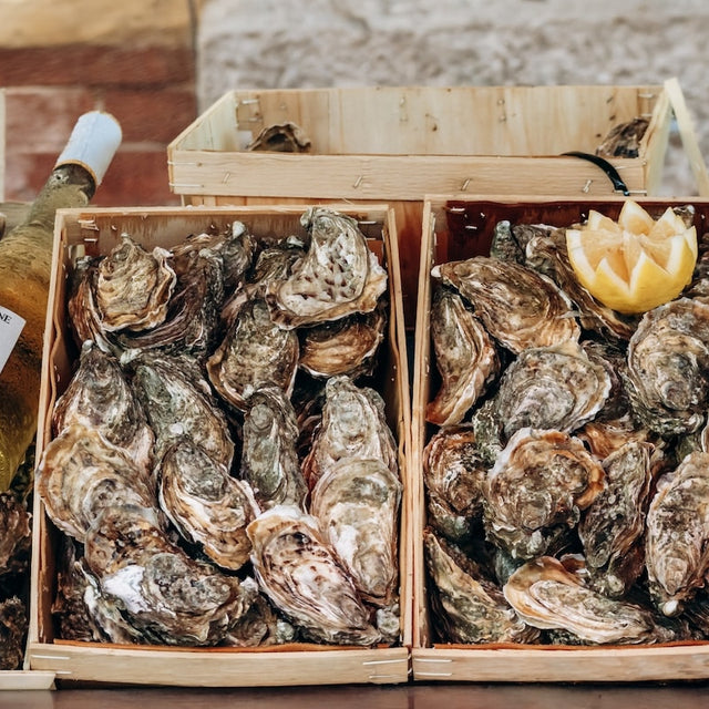 Live Seafood & Fine Meats Market | Avant Marketplace – Avant Seafood Market