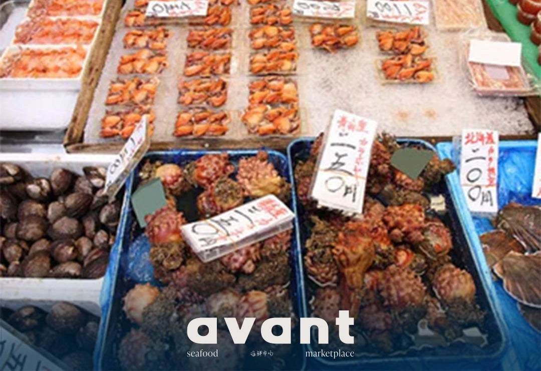 Live Mollusca | Fresh Oysters, Clams, Mussels & Snails – Avant Seafood ...