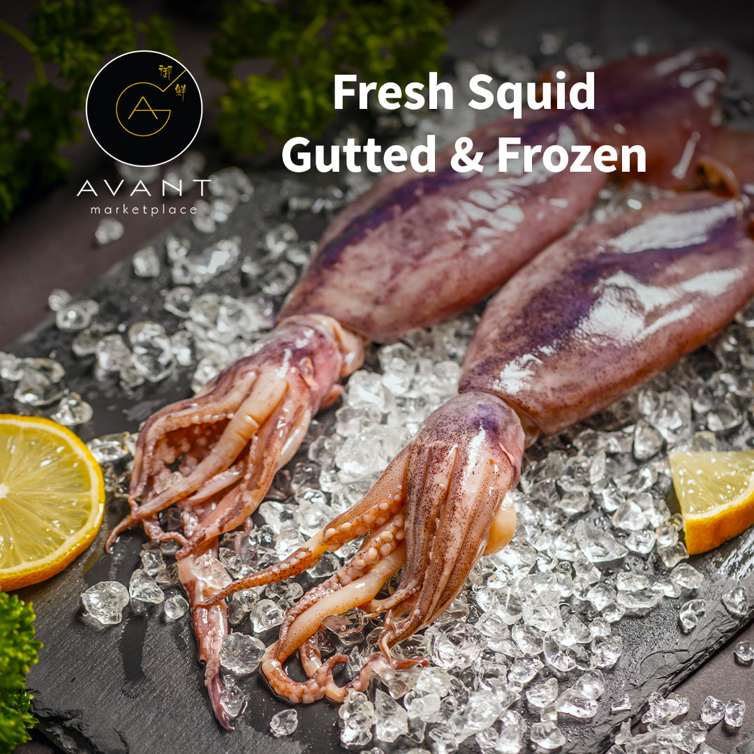 Fresh Squid Gutted & Frozen 8-10 inches | Avant Seafood Marketplace