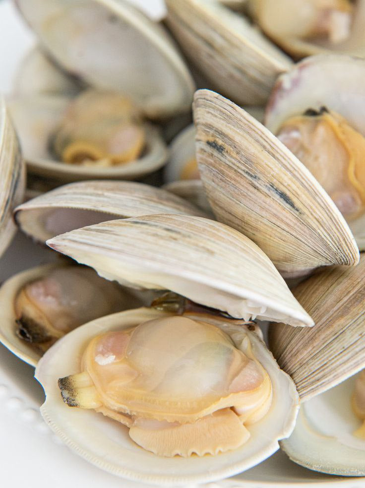 Live Milk Clam | Live Seafood Singapore | Avant Marketplace Singapore ...