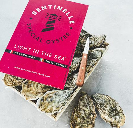 Sentinelle Speciale N3 French/Irish Oysters | Live Oysters | Avant ...