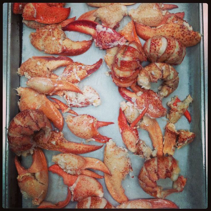 UHP Frozen Boston Lobster Claw, Knuckle & Tail Meat | Premium & Frozen ...