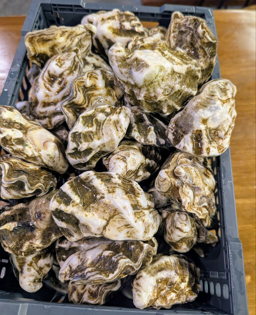 Avant Marketplace | Live Seafood, Fine Meats, Dine-In & Retail – Avant ...