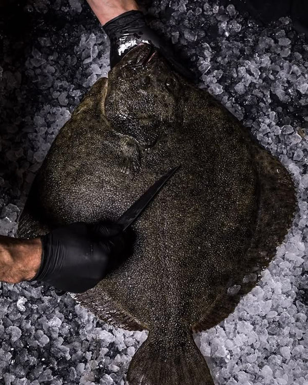 Avant Marketplace | Live Seafood, Fine Meats, Dine-In & Retail – Avant ...